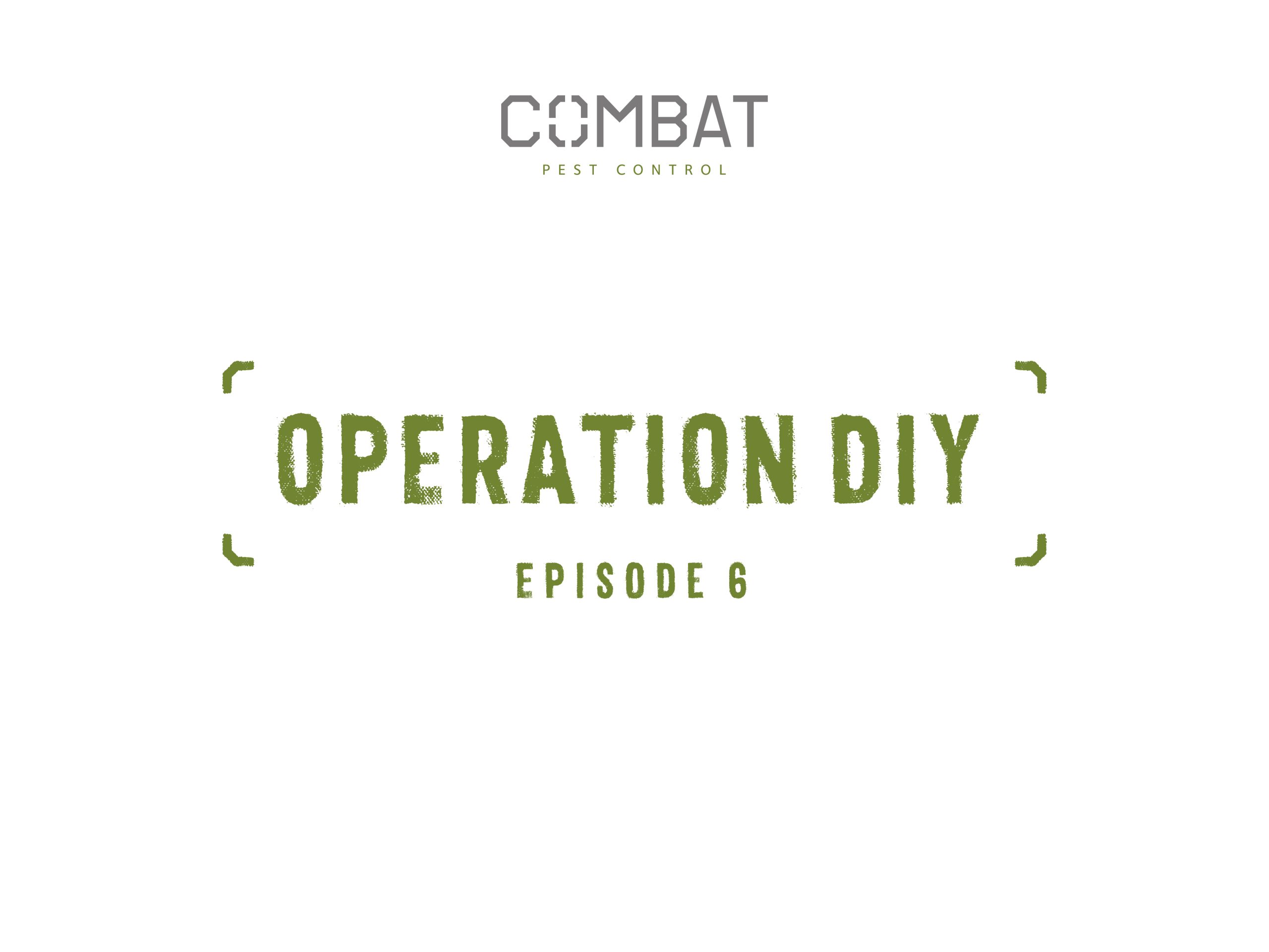 How to Prevent Rats and Mice from Gaining Entry – Operation DIY – 6 ...