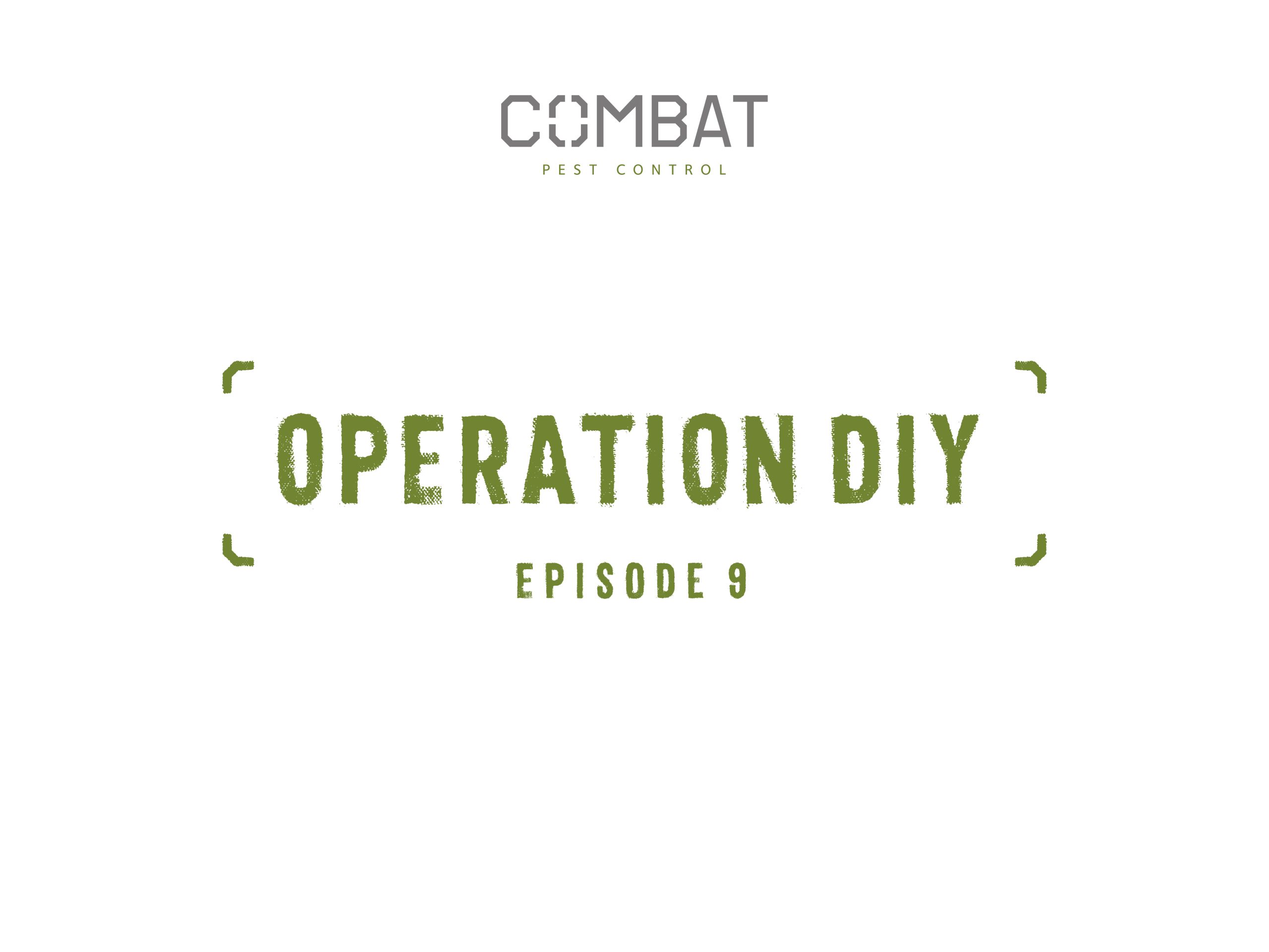 Silverfish Infestation and Control – Operation DIY – 9 - Combat Pest ...